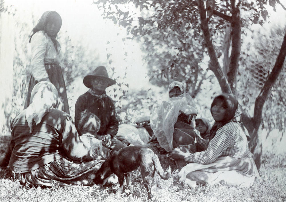 What Native American Tribes Lived In Nevada at Lola Mowbray blog